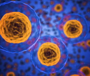 SN GeneLab - India's leading diagnostic lab in genomics.