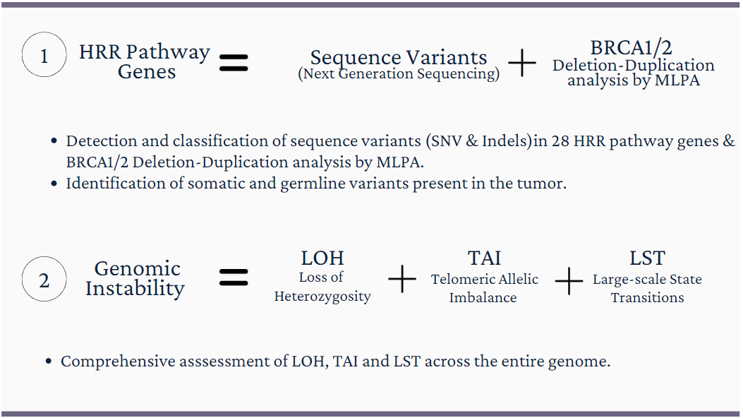 GenomeSignature-Homologous Recombination Deficiency (HRD) Score - SN ...